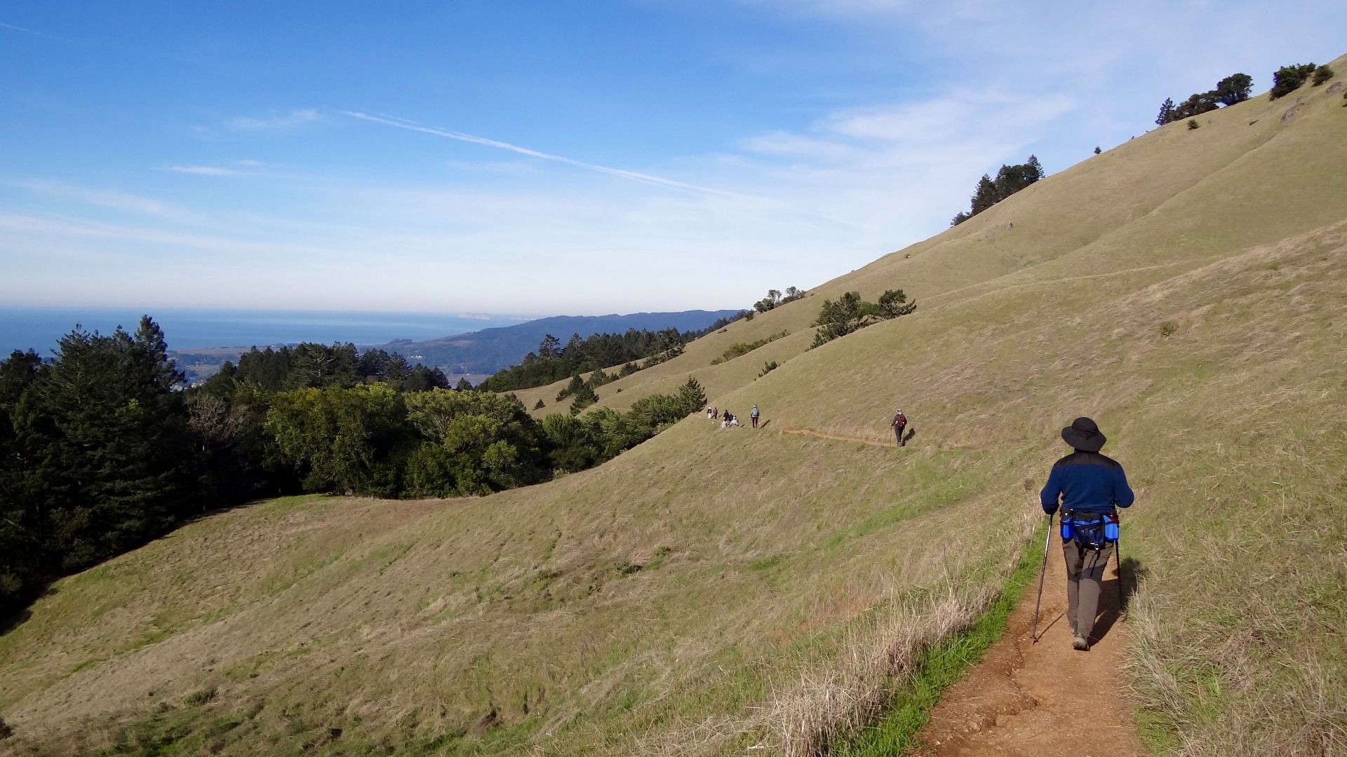 Hiking | Friends of Mt Tam